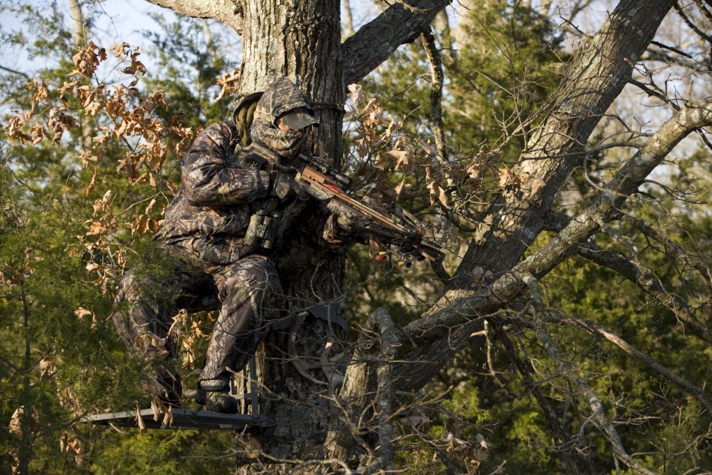 Take Your Aim With The Barnett Quad 400 Crossbow - Hunt Sharp